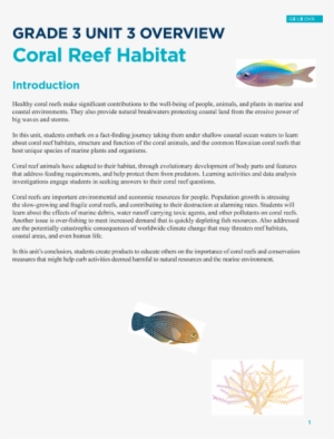 Coral Reef Habitat - Habitats In The Coral Reef - 440x571 PNG Download ...