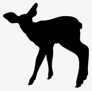 Download Png - Kreslený Srnka - 1024x1010 PNG Download - PNGkit