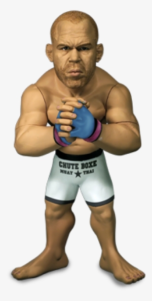 Wanderlei Silva - 379x387 PNG Download - PNGkit