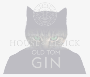 Old Tom Banner Cat Eyes - Mask - 1434x1304 PNG Download - PNGkit