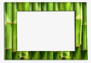 Bamboo Frame PNG, Free HD Bamboo Frame Transparent Image - PNGkit