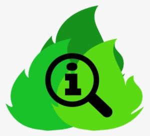 Devine Hq - Facebook - 417x379 PNG Download - PNGkit