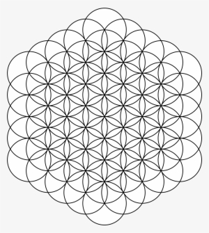 Open - Flower Of Life No Background - 2000x2226 PNG Download - PNGkit