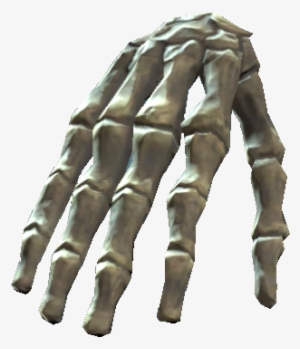 Right Hand Bones - Hand Bones Png - 450x435 PNG Download - PNGkit