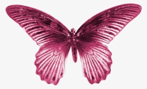 Pink Butterfly Gif - Gif - 500x326 PNG Download - PNGkit