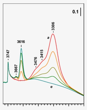 Ftir Spectra Of Co Adsorbed - Plot - 608x771 PNG Download - PNGkit