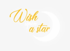 Star Health Logo - Star Health Insurance Logo - 2000x914 PNG Download ...
