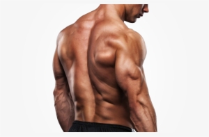 Muscle Back Png - Muscle Man Back Png - 735x483 PNG Download - PNGkit