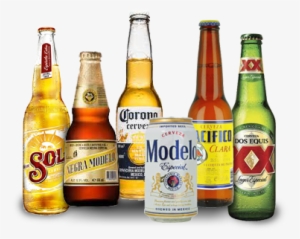 Modelo Negra Modelo Negra - Modelo Beer Negra - 706x1134 PNG Download ...