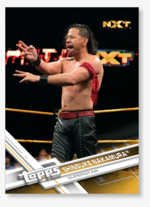 Wwe Nxt Superstar Eric Young, Raised In Florence, Credits - Wwe Eric ...