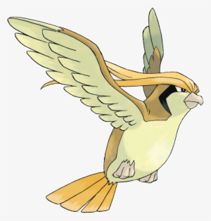 018 Pidgeot Shiny - Pokemon Pidgeot - 969x1015 PNG Download - PNGkit