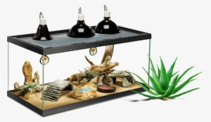 Deluxe Bearded Dragon Kit - Bearded Dragon Tank Decor - 802x466 PNG ...