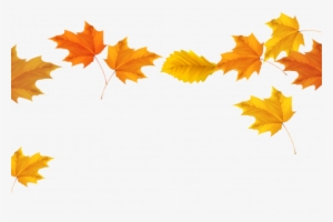 Autumn Leaves - Fall Pictures For Email Signatures - 827x771 PNG ...
