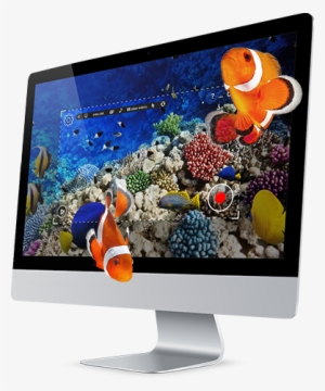 Ocean Fish Screen Saver - Computer Images Hd Png - 390x468 PNG Download ...