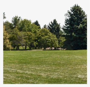 An Absolutely Enormous Panoramic Photo Of A Park With - Panoramic Tree ...