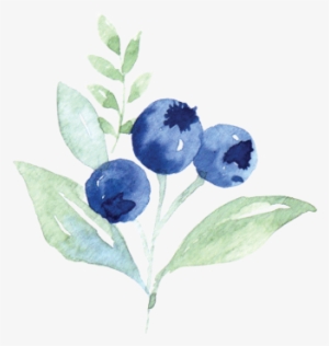 Calligraphy Blueberries - 350x350 PNG Download - PNGkit