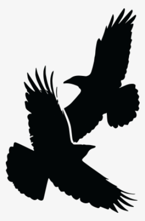 Two Crows - Two Crow Press - 500x461 PNG Download - PNGkit