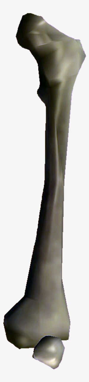 Structure Of A Typical Bone - General Features Of Long Bones - 707x940 ...