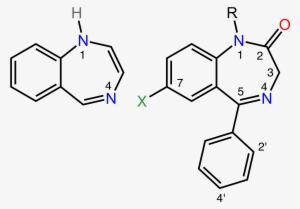 Benzodiazepine - Benzodiazepine Structure - 2480x1771 PNG Download - PNGkit