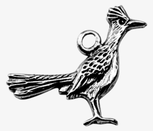 Roadrunner PNG, Free HD Roadrunner Transparent Image - PNGkit