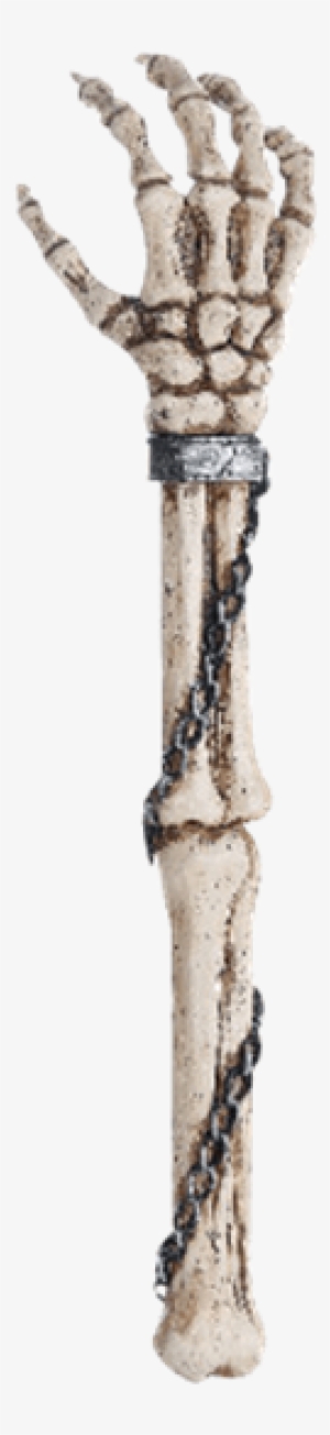 Skeleton Arm Png Jpg Library Stock - Pacific Giftware Skeleton - Back ...
