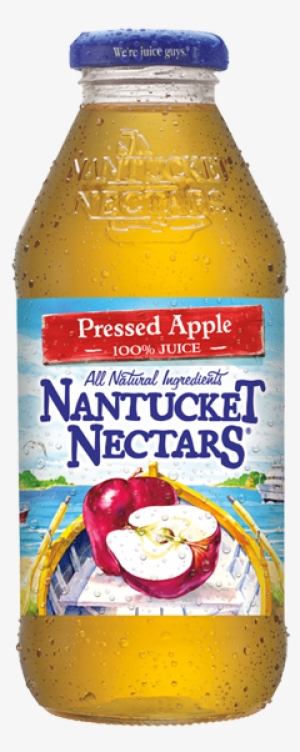 Natural Nantucket Nectars Pressed Apple Juice - Nantucket Nectars ...