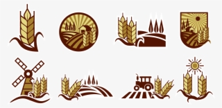 Rice Field Vector Labels - Rice Field Logo - 700x490 PNG Download - PNGkit