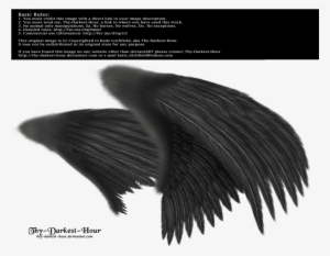 Realistic Angel Wings Side View Download - Folded Wings - 1280x1548 PNG ...
