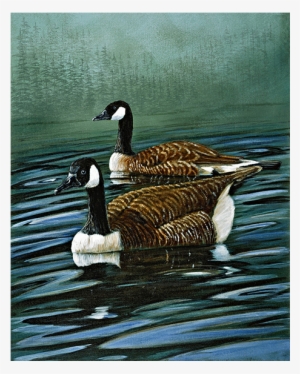 Cold Morning On The Colorado - Colorado - 575x575 PNG Download - PNGkit