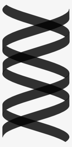 Vertical Double Helix Black - Dna Helix Vertical - 294x598 PNG Download ...
