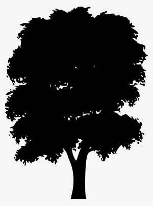 Tree Silhouettes - Cartoon Tree Silhouette Png - 593x800 PNG Download ...