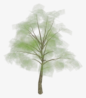Grass - Grass And Trees Png - 400x400 PNG Download - PNGkit