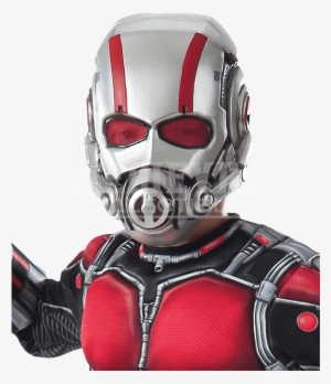 Antman PNG, Free HD Antman Transparent Image - PNGkit