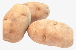 Potato Png Image1 - Potato Png - 1024x768 PNG Download - PNGkit