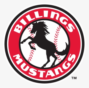 Billings Mustangs Logo - 701x698 PNG Download - PNGkit