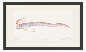 Oarfish - 479x311 PNG Download - PNGkit