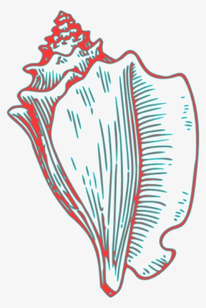 Green Clipart Seashell - Conch Shell Line Drawing - 396x592 PNG ...