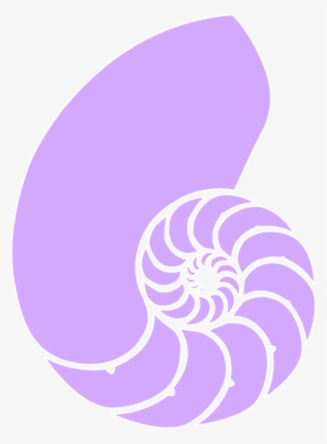 Purple Nautilus Shell Clip Art At Clker - Nautilus Shell Clipart ...