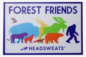 Forest Friends - Cartoon - 1280x800 PNG Download - PNGkit