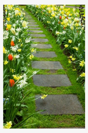 Garden Path Png Svg Freeuse - Pedras De Jardim Passeio - 450x500 PNG ...