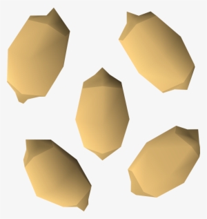 Palm Tree Seed - 736x778 PNG Download - PNGkit