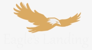 Brainerd - 410x326 PNG Download - PNGkit