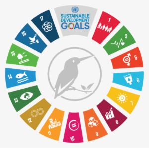 Sustainability Development Goals - Sustainable Development Goals Wheel ...