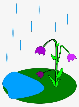 Rain Flowers Clip Art - Raining Clipart Animated - 438x597 PNG Download ...