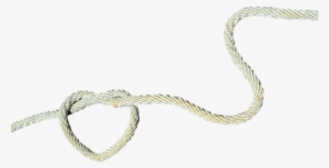 Free Png Rope Png Images Transparent - Rope Png - 850x564 PNG Download ...