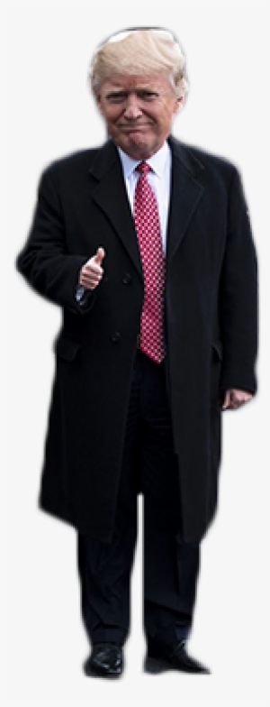 Persontiny Trump - Standing - 1000x666 PNG Download - PNGkit