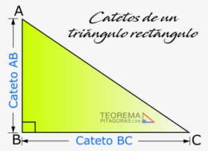 Los Catetos De Un Triángulo Rectángulo - Diagram - 400x300 PNG Download ...