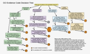 Evidence Codes Flowchart - Flowchart - 997x605 PNG Download - PNGkit