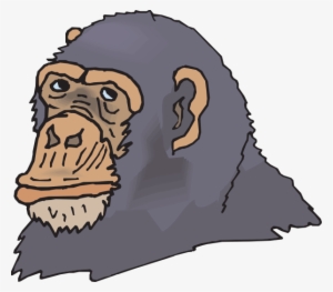 Gray Chimp Head Clipart Png For Web - 600x527 PNG Download - PNGkit