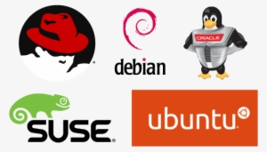 Supported Distributions - Oracle Linux Logo Png - 534x306 PNG Download ...